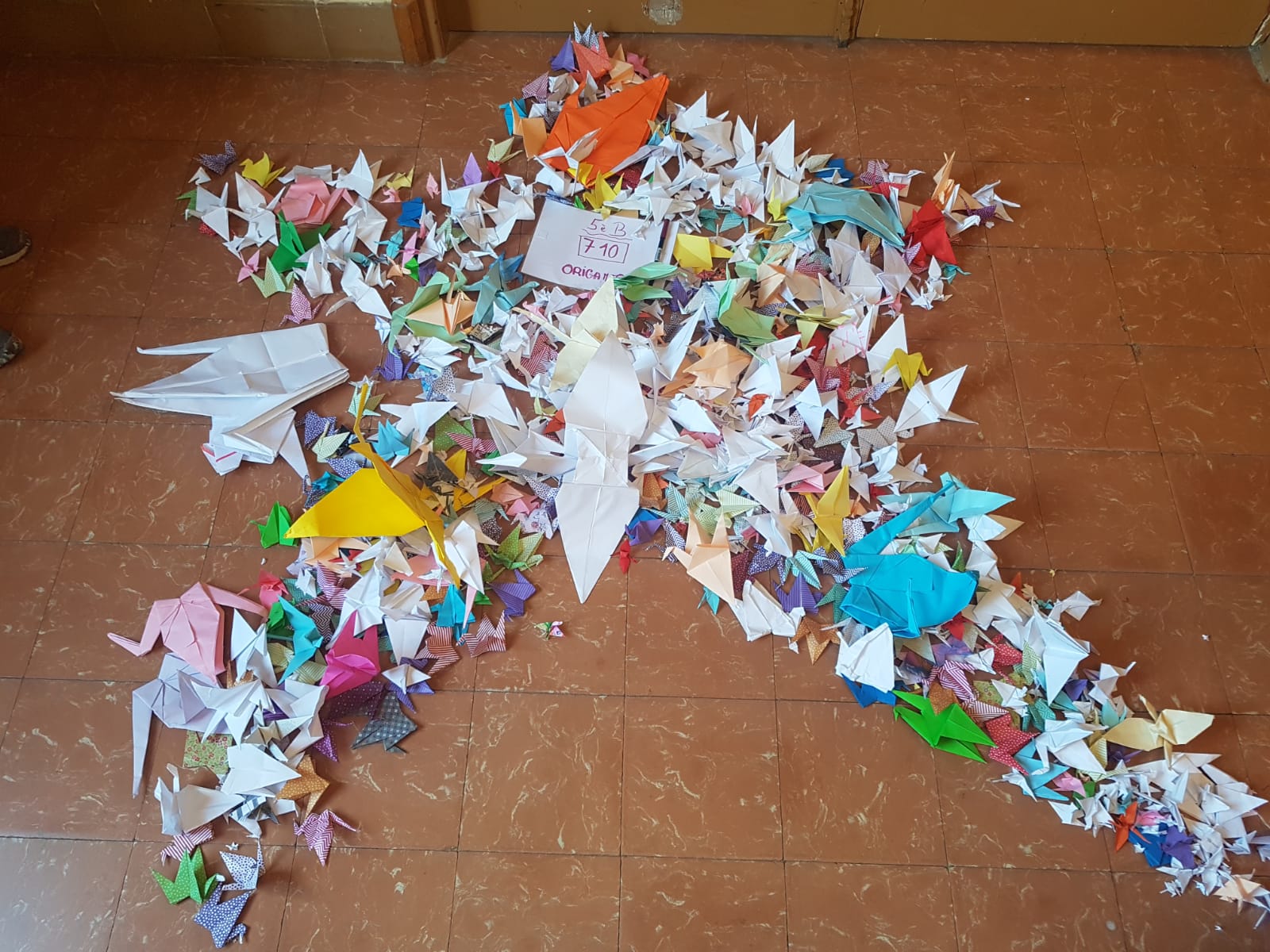 Origamis solidaris - Col·legi Sagrada Família
